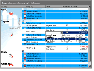 VSFlexGrid Pro is the grid tool for VB developers