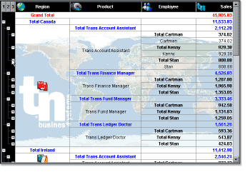 VSFlexGrid Pro is the grid tool for VB developers